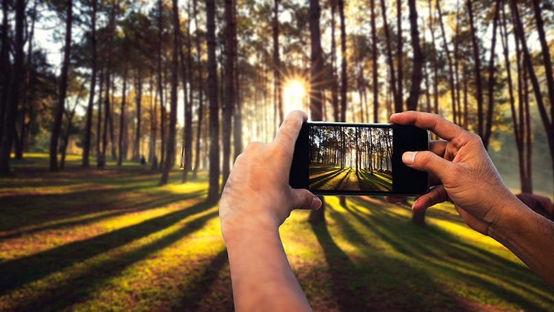 Tips and Tricks: for Better Smartphone Photography – – the blonde byte